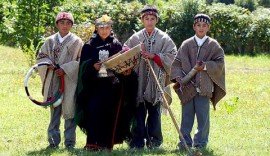 Amnesty International Calls for Investigation into Mapuche Conflict | I ...